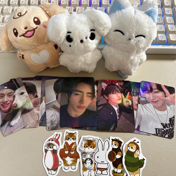 Enhypen Fox Sunoo Plushie | Sunoo Plushie | Enhypen Plushie - Etsy