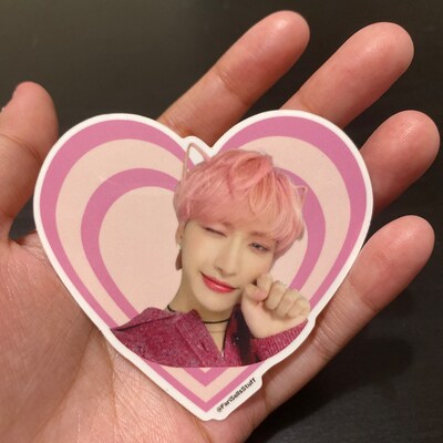 SVT Member Stickers Kpop Sticker - Etsy