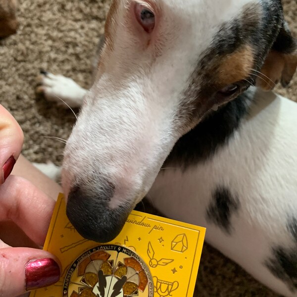 Stained Glass Magic Windows Enamel Pins Set - Etsy