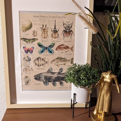 Hyrule Compendium Tears of the Kingdom Breath of the Wild Botanical ...