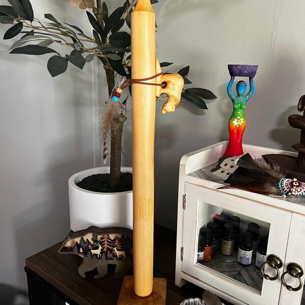 Snapping Turtle Shell Maraca Rhythm Percussion Instrument - Etsy