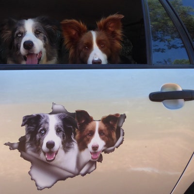 Custom Design Custom Pet Decal Custom Sticker Custom Magnet - Etsy