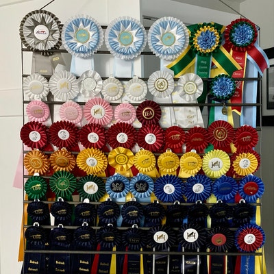 4-H FFA Ribbon Holder Display Award Rack Dog Show Ribbon Holder Award ...