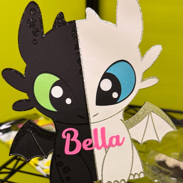 Toothless & Light Fury How to Train Your Dragon Night Fury Customizable ...