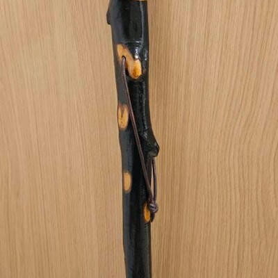 Irish Blackthorn Walking Stick 35 Inchs Long 3x2 Rootball Handle 500 ...
