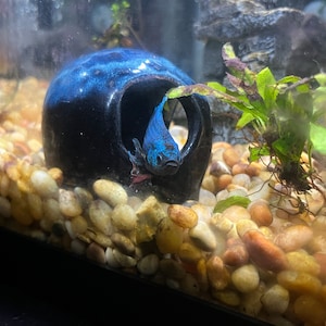 Ceramic Pointed Fish Cave MADE TO ORDER Aquarium Decoration Under the ...