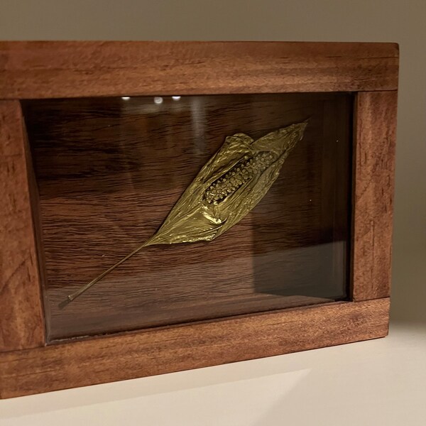 42 X 14 X 2 1/2 Wooden Shadow Box / Hinged Glass Lid / Display Case Box ...