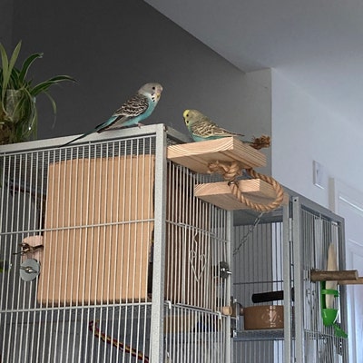 2 in 1 Perch Natural Wood Perch and Swinging Pine Dowel Perch With ...