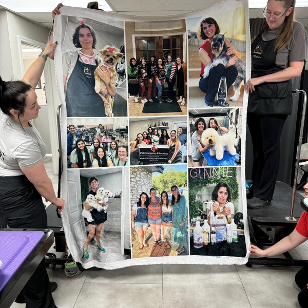 Dink Training for Pickleball Practice Wall Rebounder, Volley Pad ...