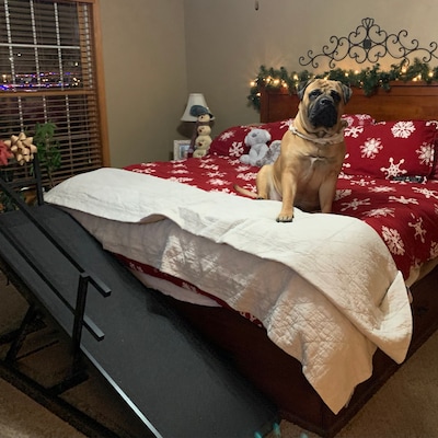 Doggoramps Small Dog Ramp for Bed including Tall Beds - Etsy