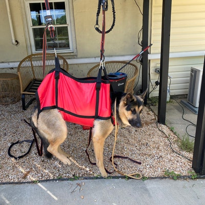 Biothane Dog Harness Police K9 Schutzhund Ipo - Etsy