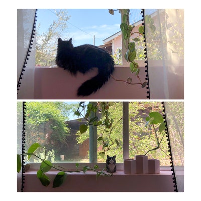 Pig Storage Jar With Lid Large and Small Pottery Canister - Etsy