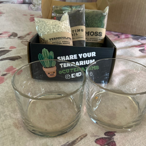 Terrarium Starter Kit DIY - Great Gift - Etsy