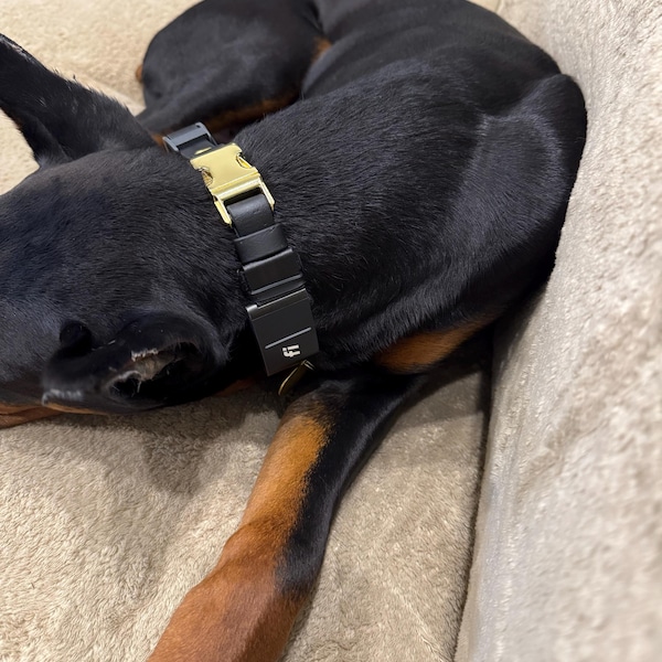 Fi Series 2 Collar Adapter - Etsy