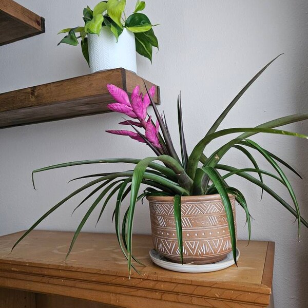 Handmade Woven Wall Basket Planter Wicker Wall Hanging Storage Basket Farmhouse Home Decor Door ...