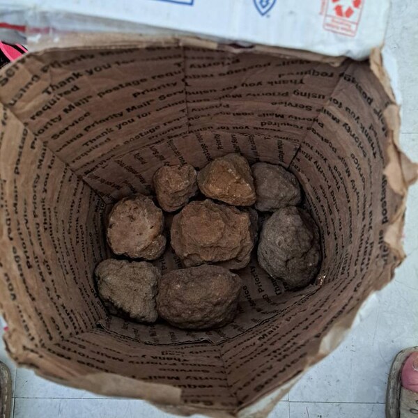 8lbs of Carthage TN Unopened Geodes/agates/nodules Lapidary Break or ...