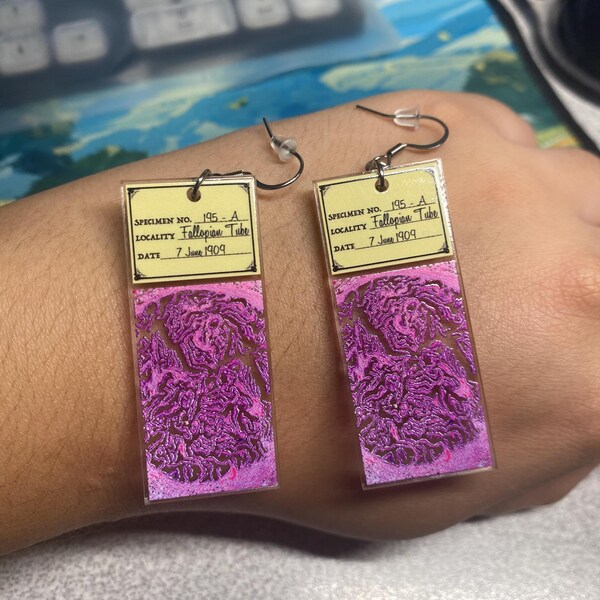 Mouse Brain Acrylic Microscope Slide Ornament 3.5 - Etsy