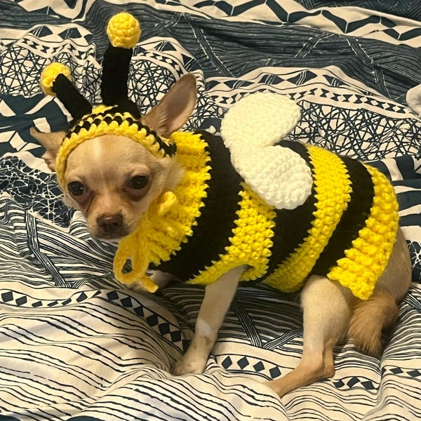Bumblebee Dog Sweater / Halloween Costume Available in 4 Sizes - Etsy