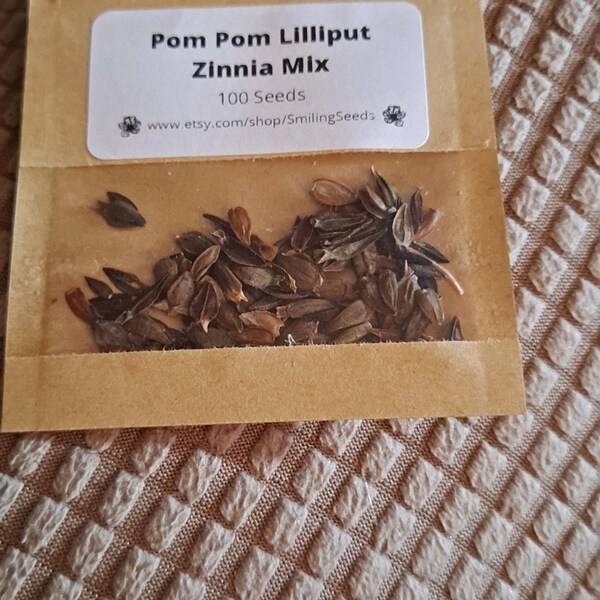 Vidalia Onion, 200 Seeds, Yellow Granex Hybrid F1, Sweetest Onion ...