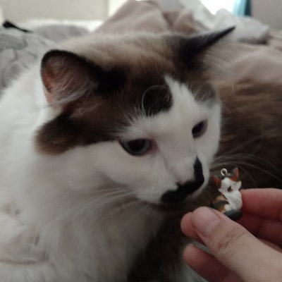 Polymer Clay Animal Bun Charms - Etsy