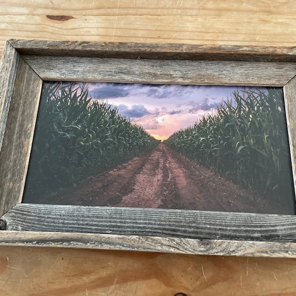 Front Range, Agriculture Photo, Crops, Corn Row, Farm Photo, Wall Art ...