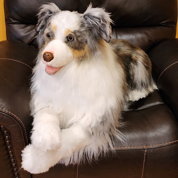 Custom Pet Stuffed Animals: Photo of Pet Into Custom Stuffed Animal ...