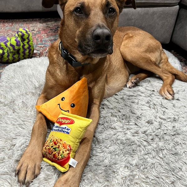 Samosa Plush Chew Toy for Pets - Etsy