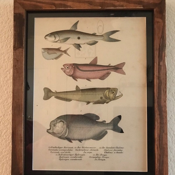 Custom Cut Mat, Custom Mat, Mat Board, Matboard, for Photos, Art Pieces ...