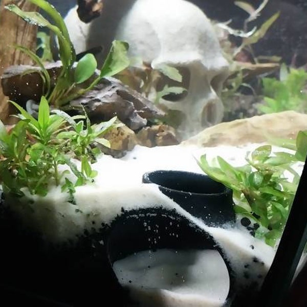 Bottom Dweller Aquarium Cave, Kuhli Loach Dojo Loach Corydoras Catfish ...
