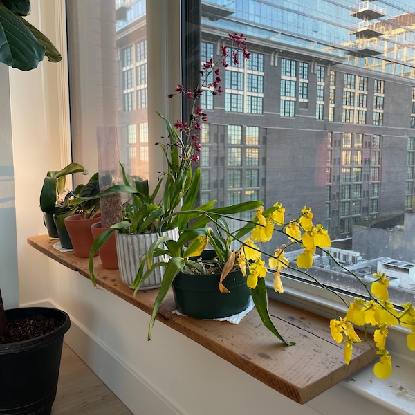 Window Sill Shelf Extension, Window Shelves, Windowsill Extender ...