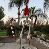 12 Ft Skeleton Pirate Costume!!!! (skelleton Not Included) - Etsy