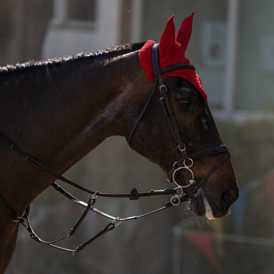 DIY Horse Bonnet Tutorial by Equiears Full Size Sqaure and Tie Down ...
