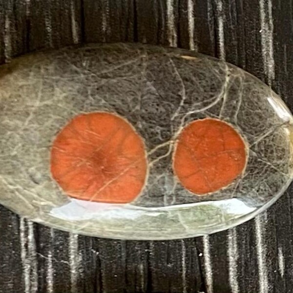 Natural Ocean Jasper Cabochon Loose Gemstone Fancy Shape Ocean Jasper ...