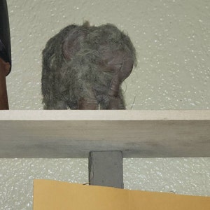 Rat Christ Ooak Cursed Crucifix Sculpture - Etsy Canada