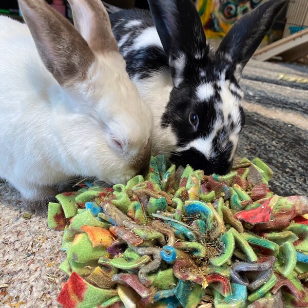 Seagrass Enrichmat™ Snuffle Mat Foraging & Enrichment Mat Well Kept ...