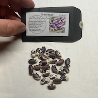 NEW! 1500 Year Old Cave Bean Seeds, Ancient Beans, Phaseolus Vulgaris ...
