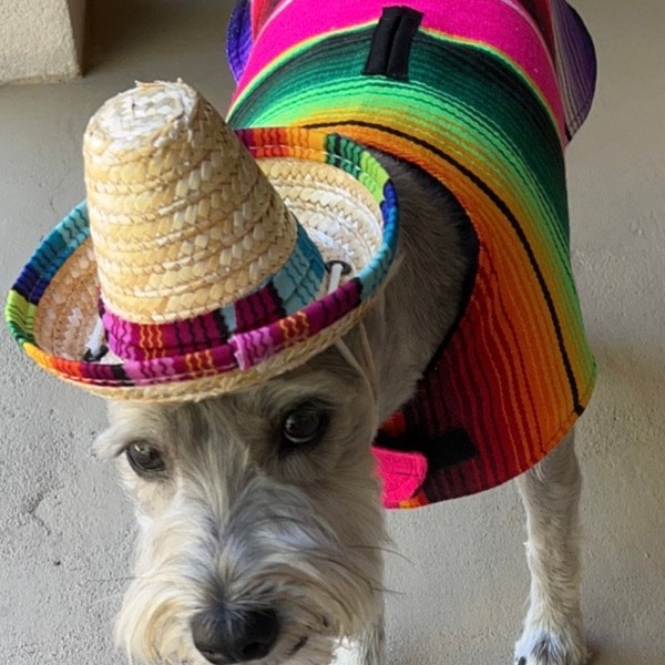 Dog Clothes - Pink Handmade Dog Apparel From Authentic Mexican Blanket ...