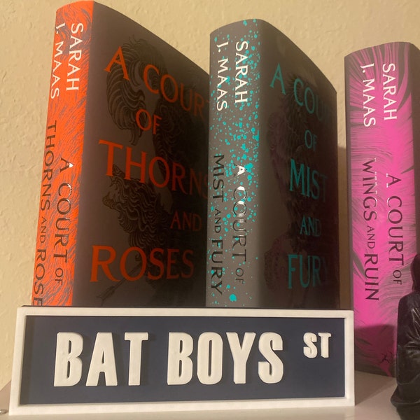 Bookshelf Street Sign - Bookish / Booktok Accessory - Customize and ...