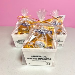 Mini Mail Tub Tote for Small Items - Etsy