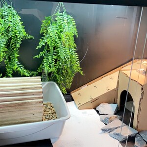 Cardboard Hobbit Style Hidey - Etsy