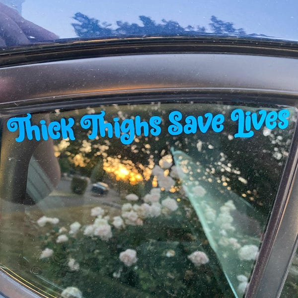 Money Pit Vinyl Decal Cars, Windows, Walls, Etc. - Etsy