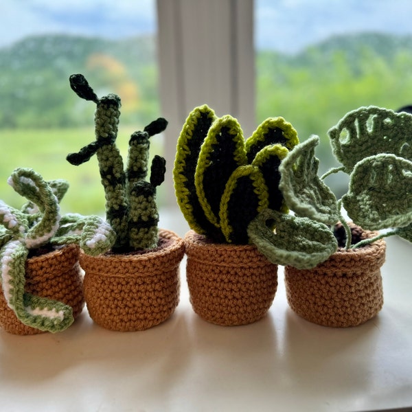 PATTERN: Crochet Mini House Plant Collection, Crochet Plant Pattern ...