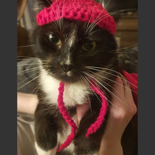 Apple Crochet Hat for Cat or Small Dog (cat Accessories, Small Animal ...