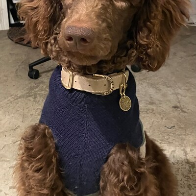 Brass Dog Tag, Personalized Brass Pet ID Tag, Custom Cat Tag, Unique ...