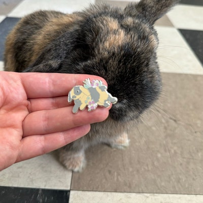 Yellow Corn Snake Enamel Pin, Yellow Snake, Snake Pin, Yellow Snake ...