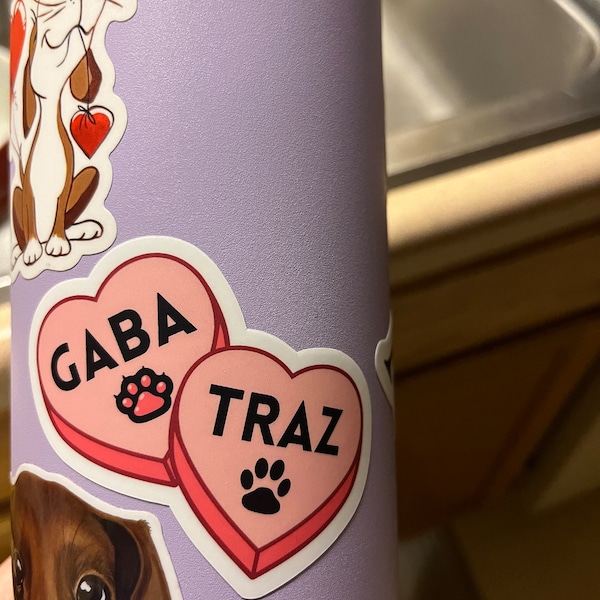 Gaba Traz Vinyl Sticker / Veterinary Meds / Veterinary Medicine Vinyl ...