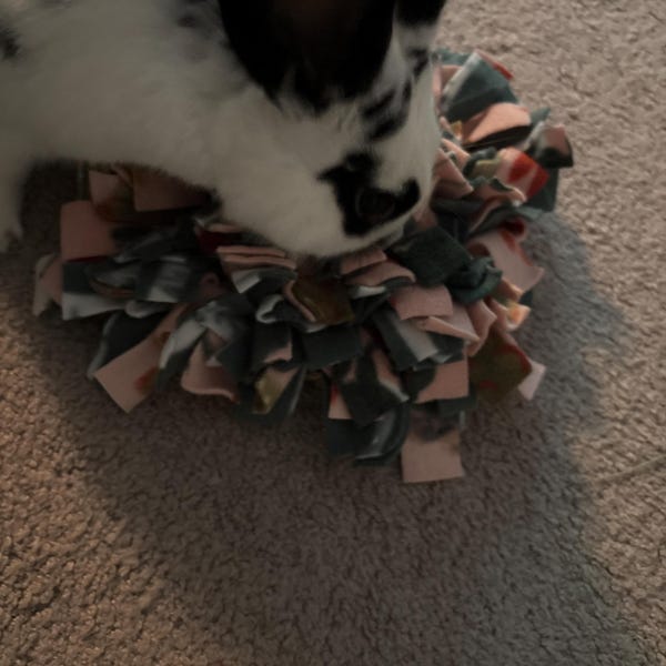 Seagrass Enrichmat™ | Snuffle Mat | Foraging & Enrichment Mat | Well ...