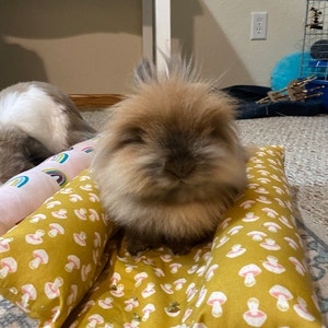 Bunny Snug Bed - Etsy