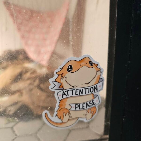 Attention Hog Bearded Dragon Sticker - Etsy
