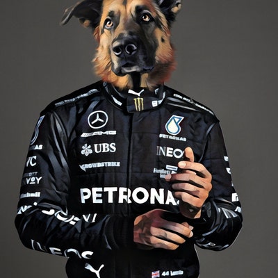 2024 Scuderia Ferrari F1 Driver Team Funny Pet Custom Portrait From ...